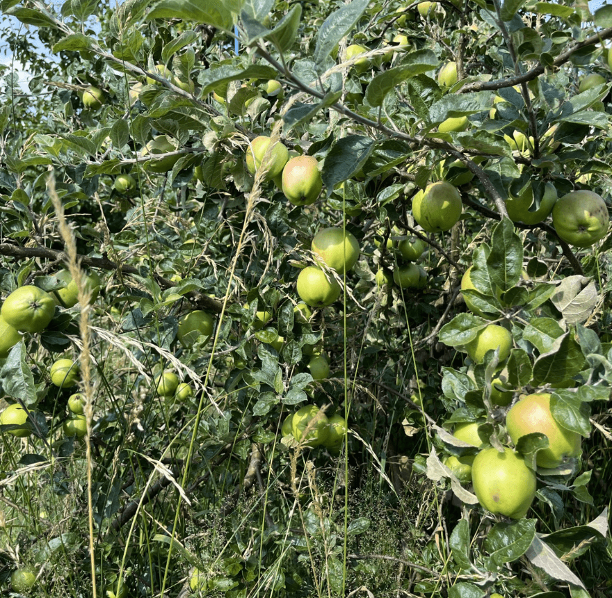 Sleeping Well at Ordsall Hall - Ordsall Hall