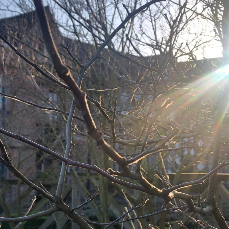 Wassailing - Ordsall Hall